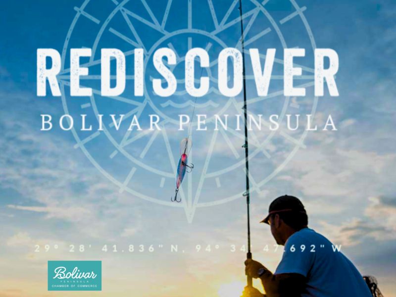 Rediscover Boliver - Sanderling